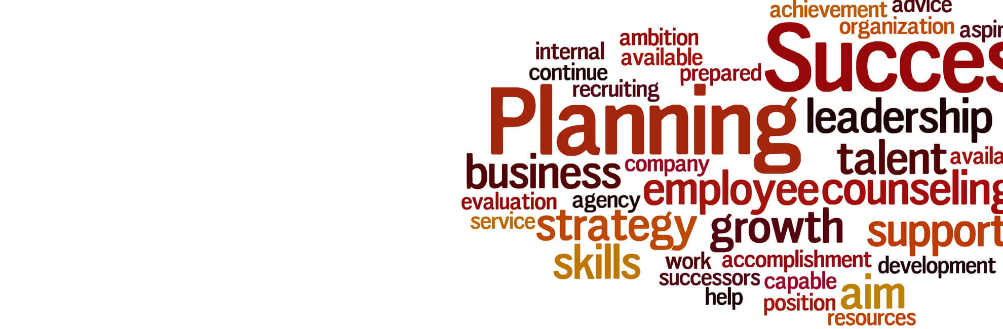 Talent & Succession | Third Phase Coaching Ltd